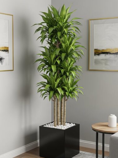 37 Stylish Large Indoor Plants That Connects Us To Nature